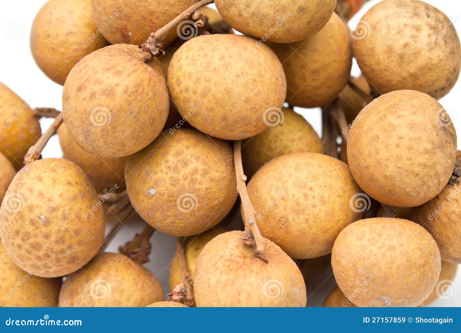 Lungan for health stock image. Image of food, brown, lungan - 27157859