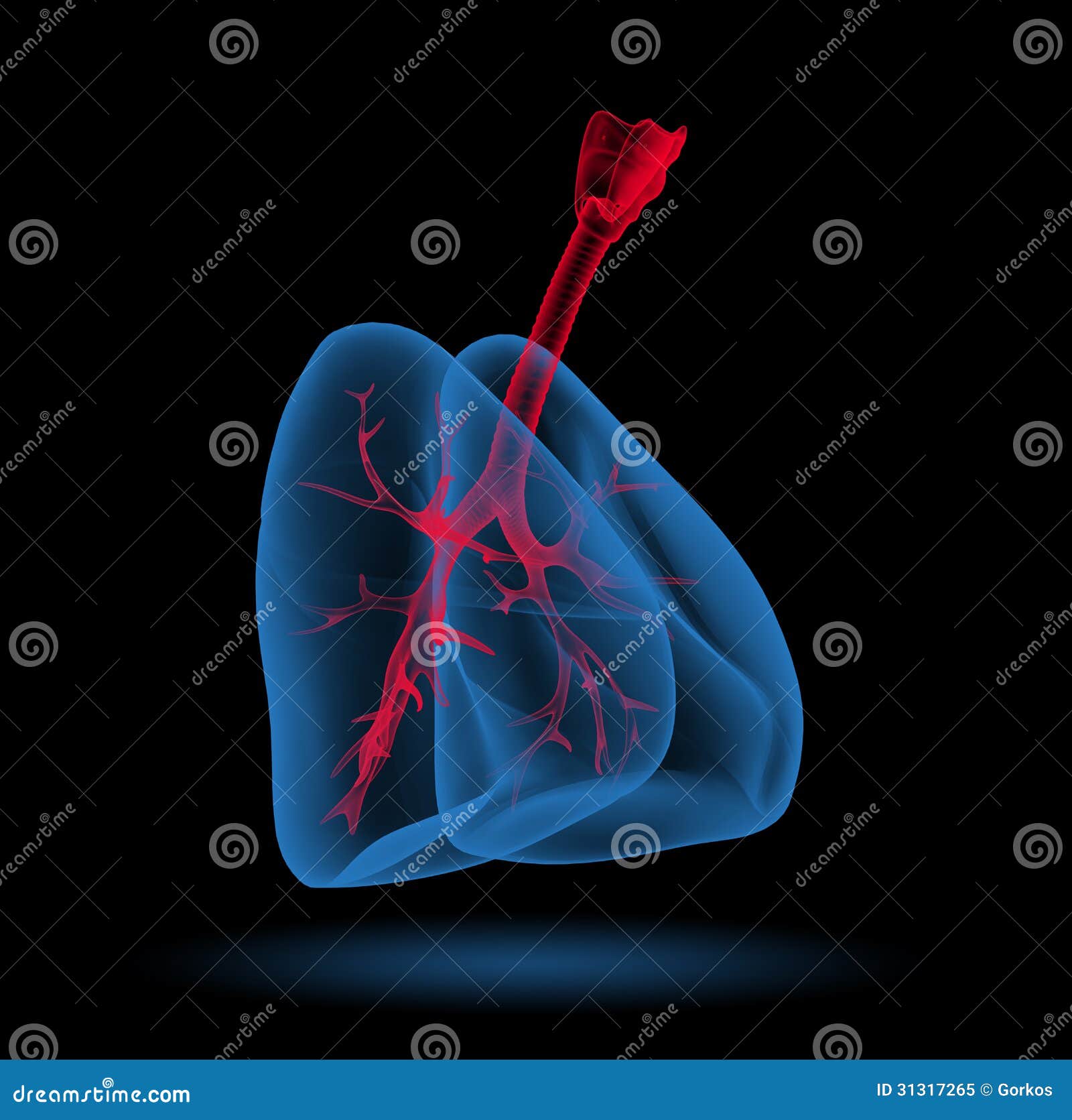 Lungor stock illustrationer. Illustration av vitt, svart - 31317265