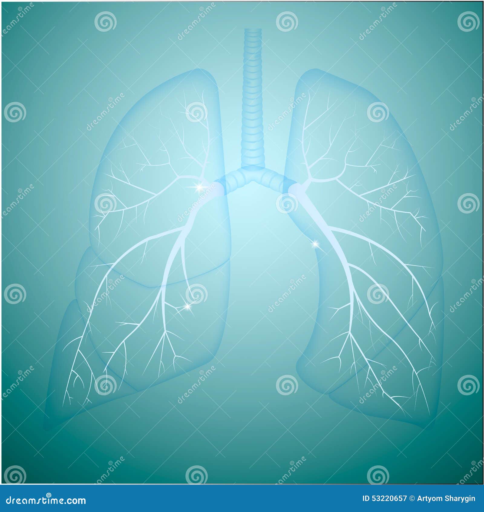 Lungs stock illustration. Illustration of pure, healthy - 53220657