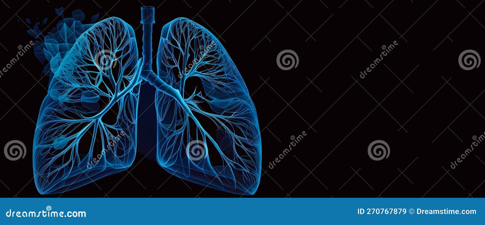 Lungs. Abstract Image of a Human Lungs in the Form of a Starry Sky or ...