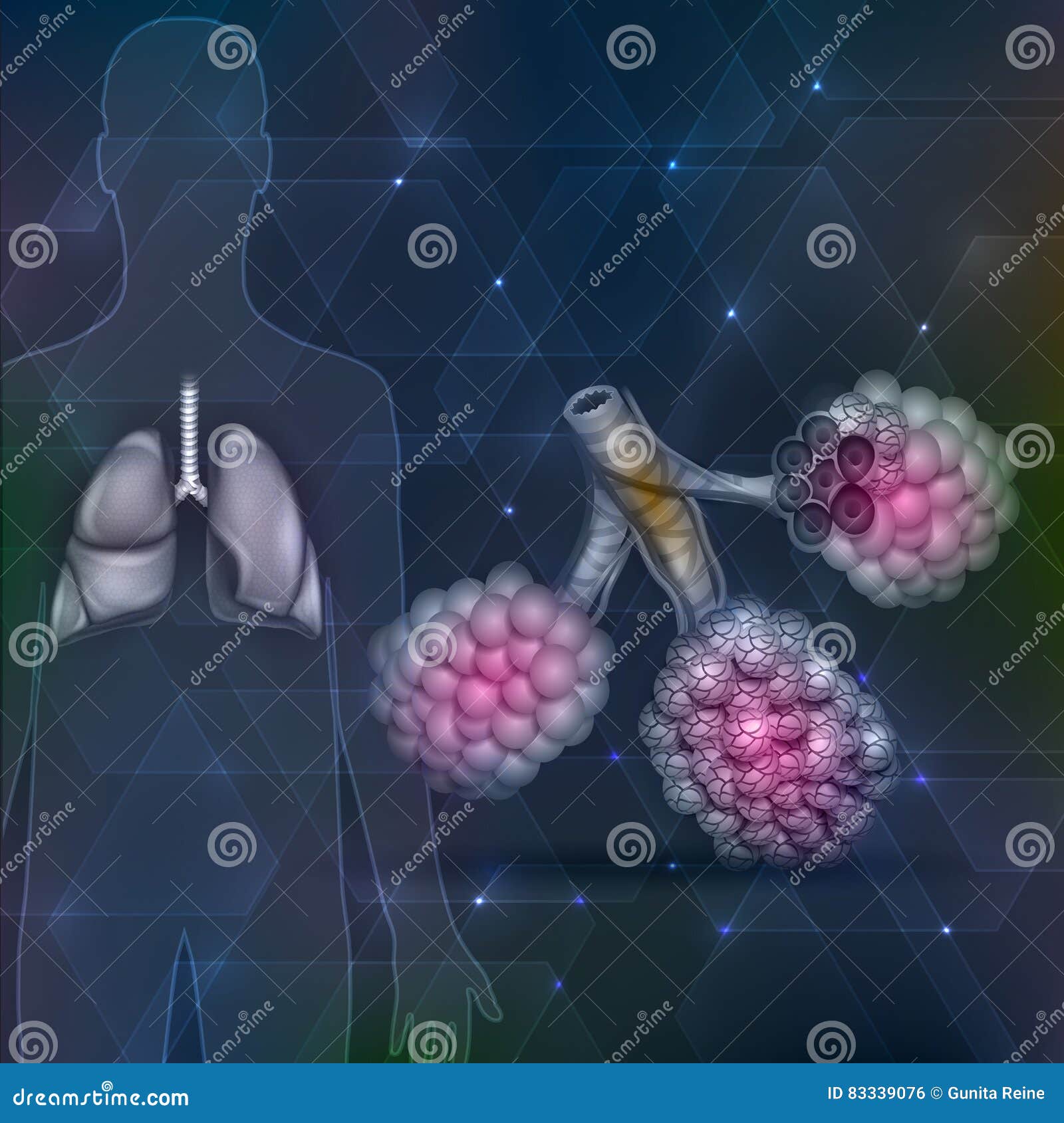 Virus Alveoli Icons Set Vector | CartoonDealer.com #142037360