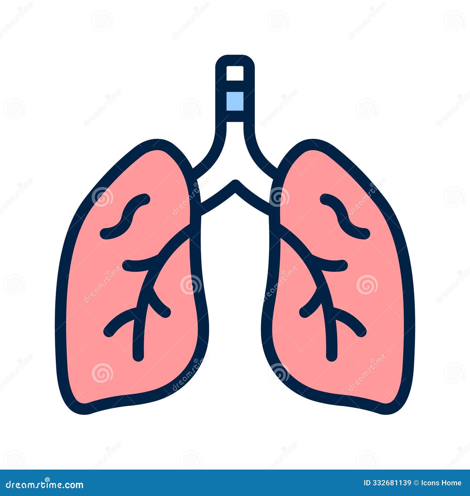 Lungs stock illustration. Illustration of icon, bronchi - 332681139