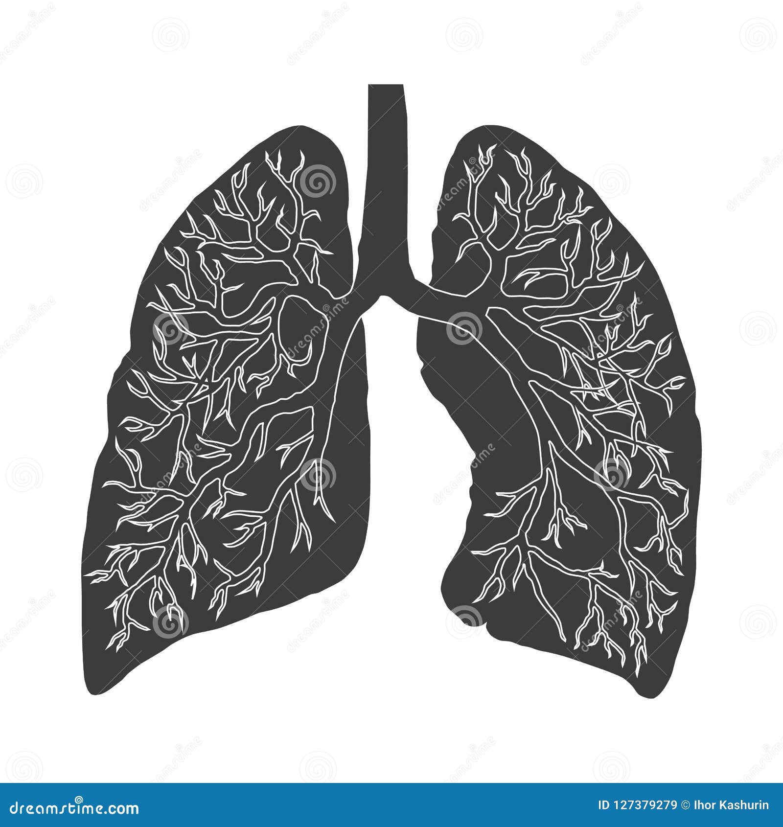 Lungs black vector icon stock vector. Illustration of hospital - 127379279