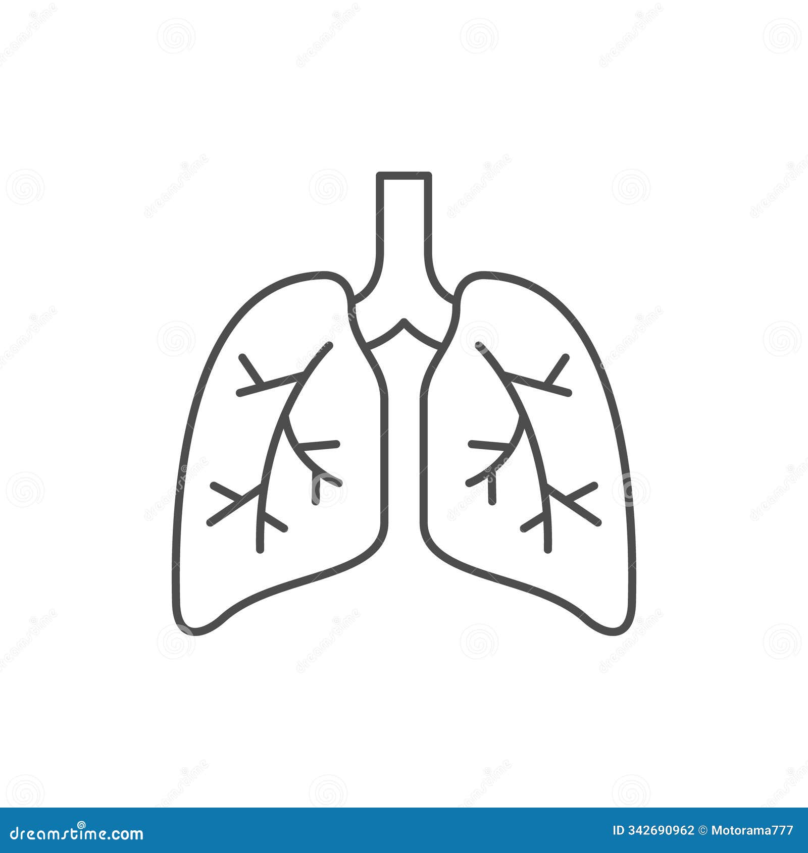 Lungs with Bronchi Line Icon Stock Vector - Illustration of bronchi ...