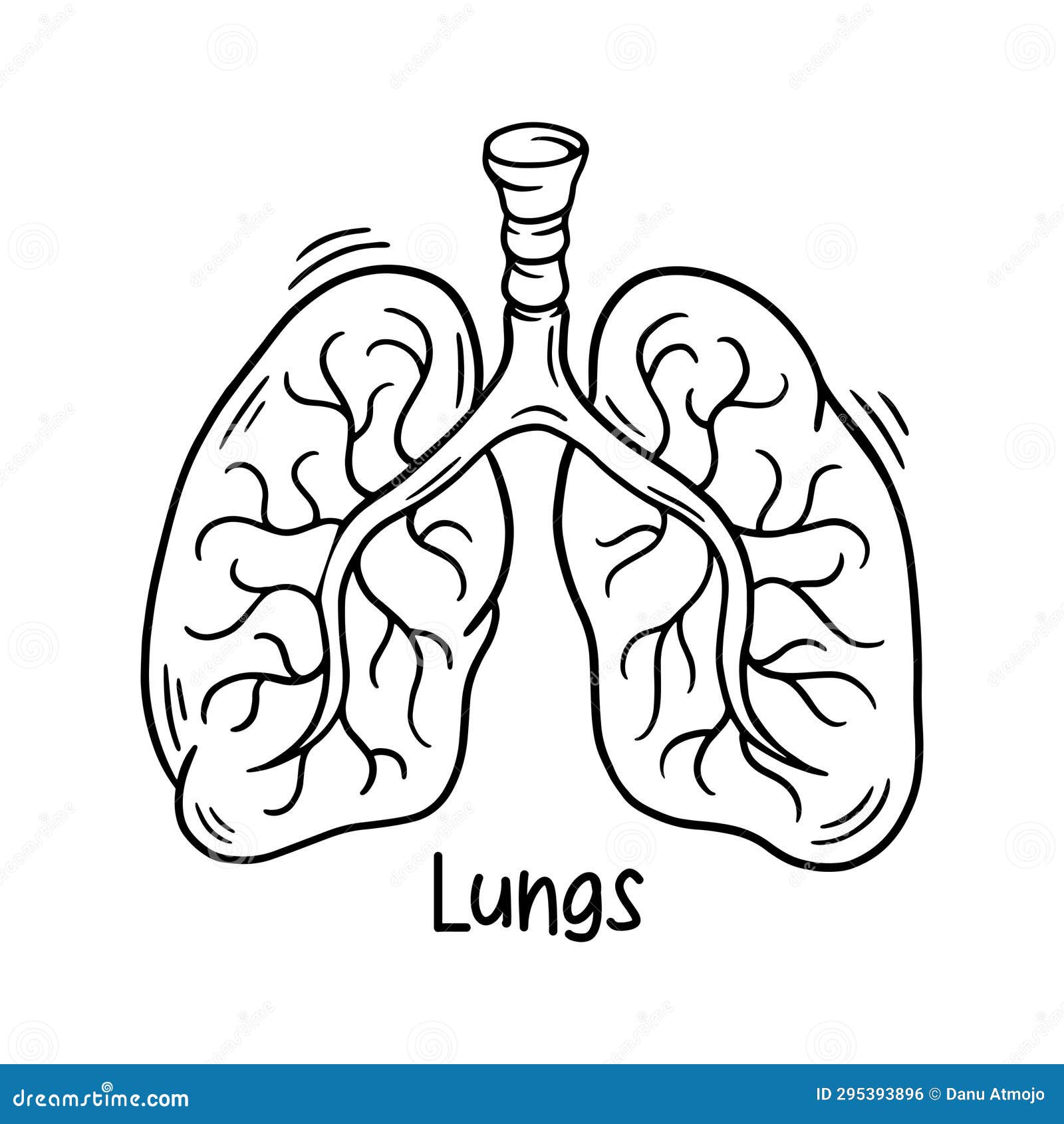Lungs. Doodle Drawing Of Human Organ. Royalty-Free Stock Image ...