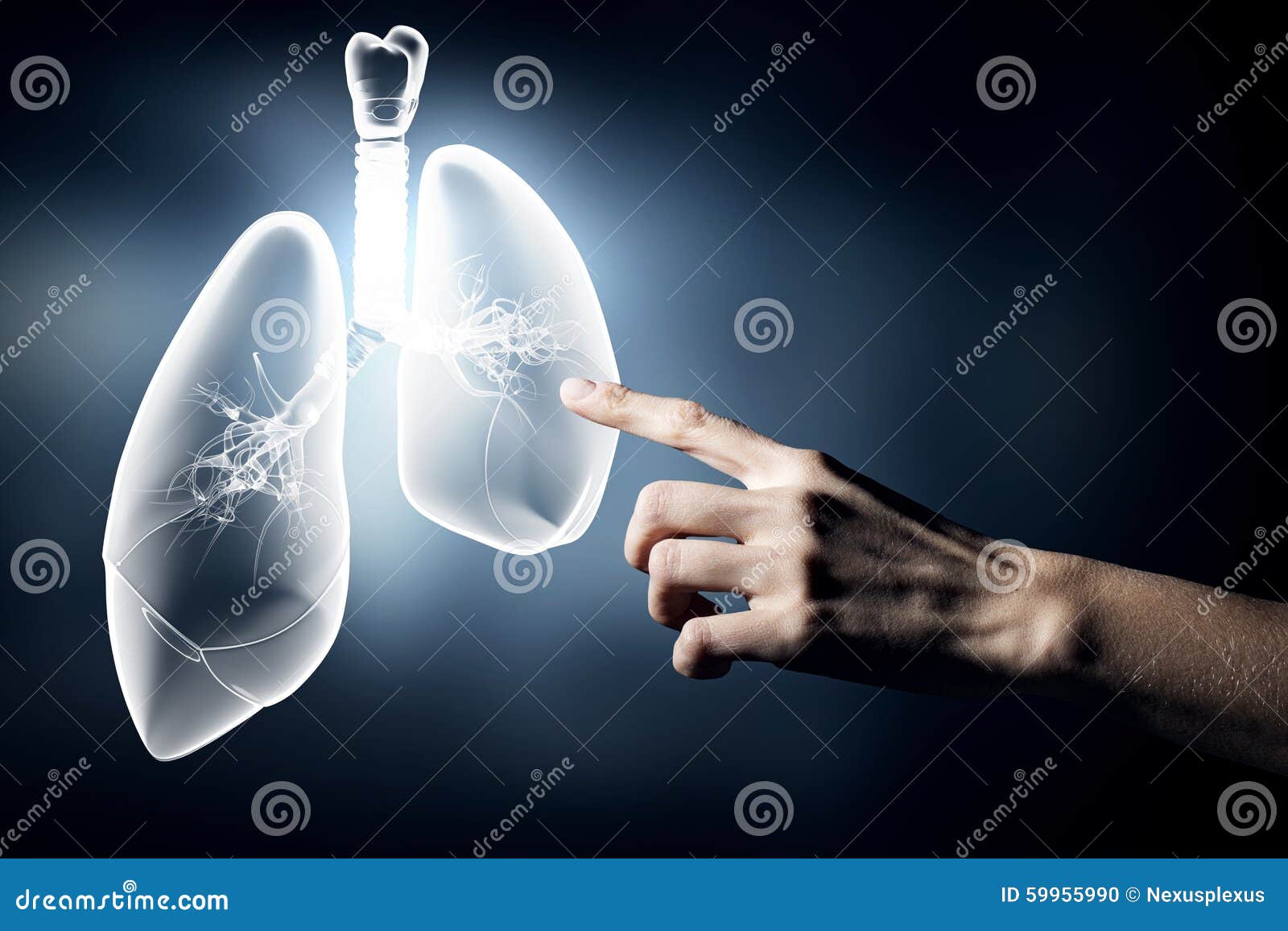 Lungs health stock photo. Image of medicine, hand, lymph - 59955990