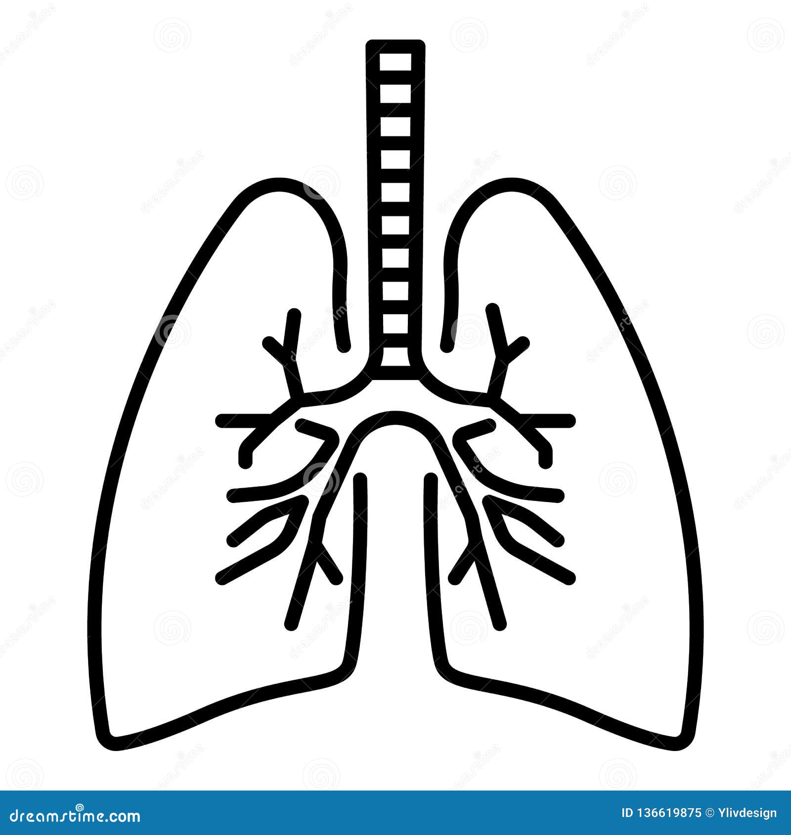 Lungs Icon Outline Style Stock Vector Illustration Of Breathe 136619875