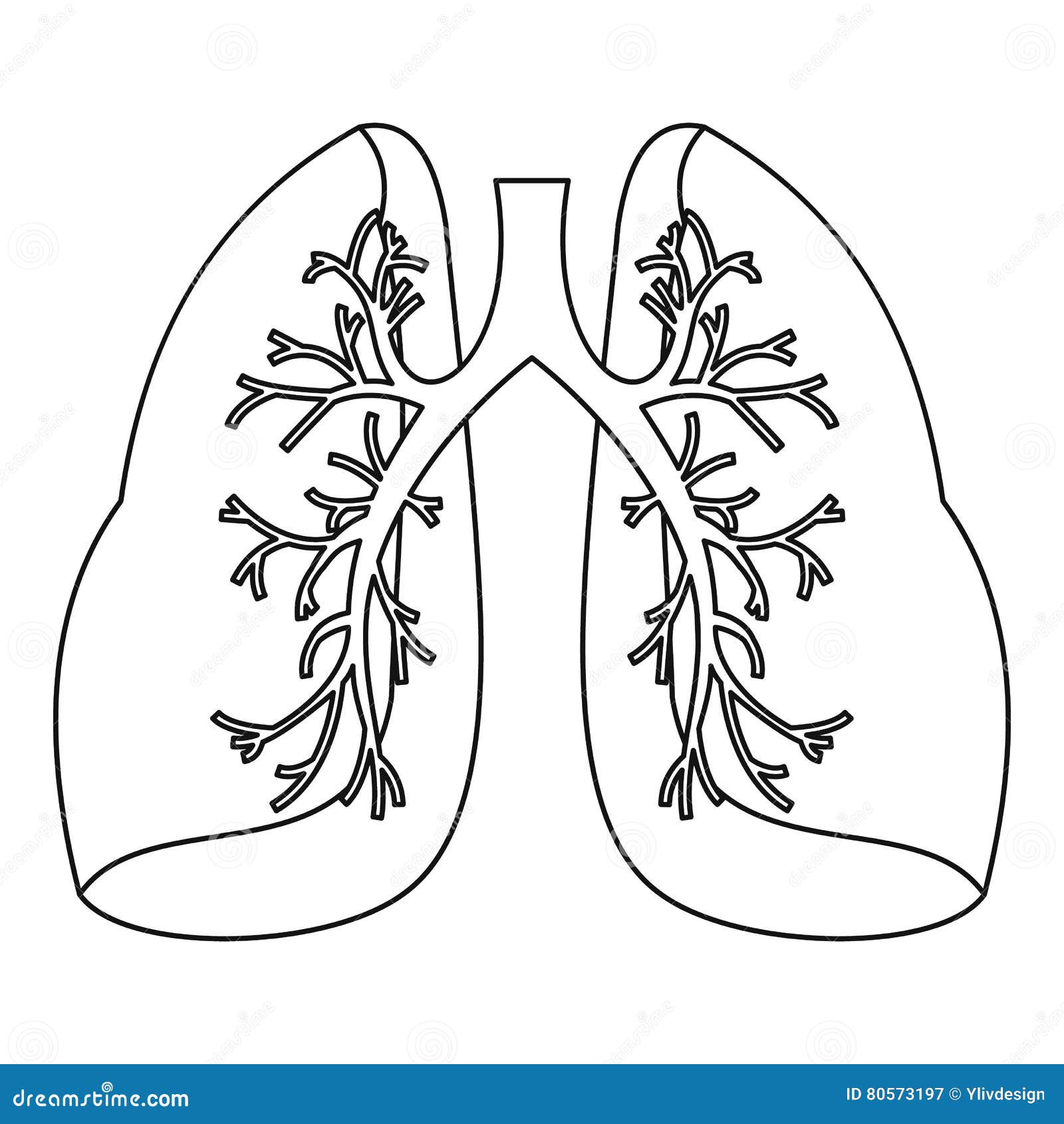 Lungs Icon, Outline Style Cartoon Vector | CartoonDealer.com #80573197 Lungs Icon, Outline Style Cartoon Vector | CartoonDealer.com #80573197