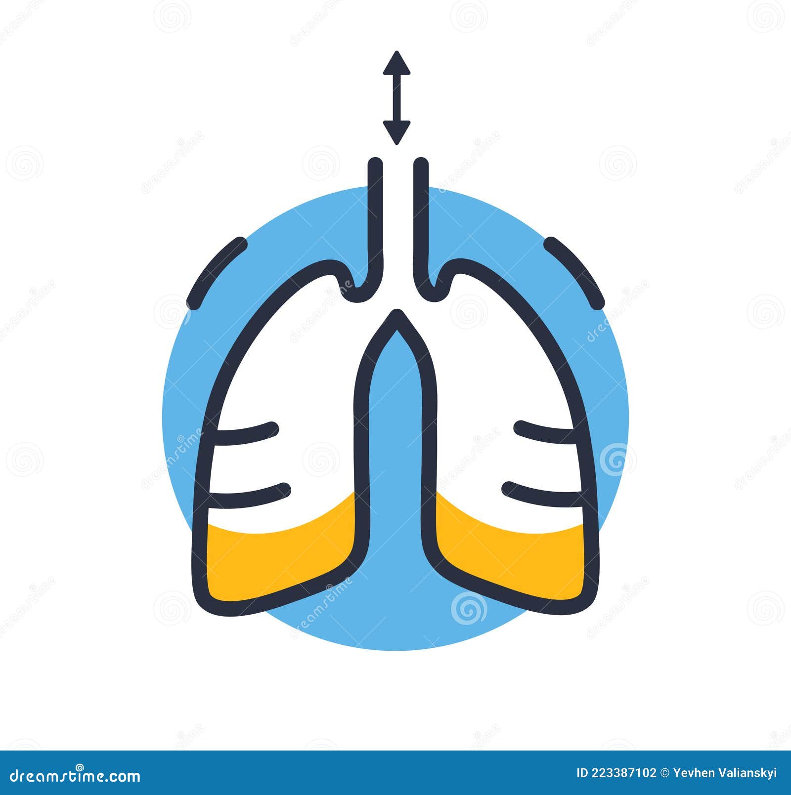 Lungs Icon. Respiratory System Isolated on White Background. Design ...