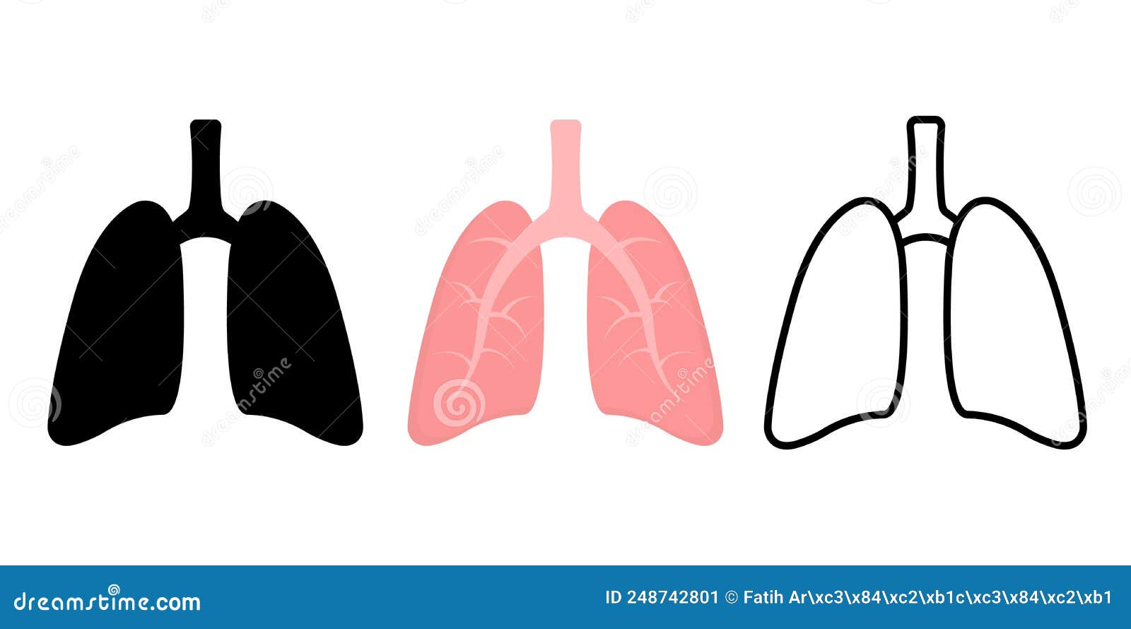 Lungs Icon Set. Health Concept, Isolated Vector Illustration Stock ...