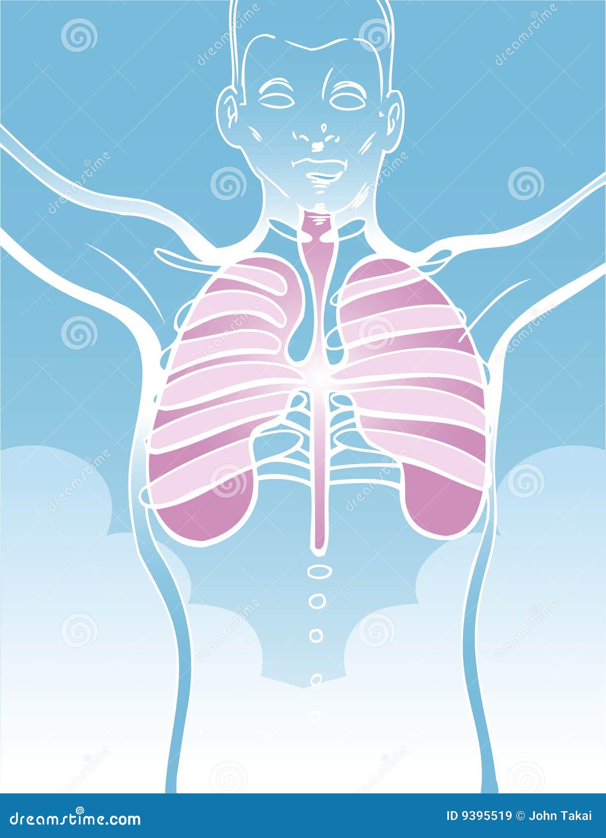 Lungs Illustration stock vector. Illustration of design - 9395519