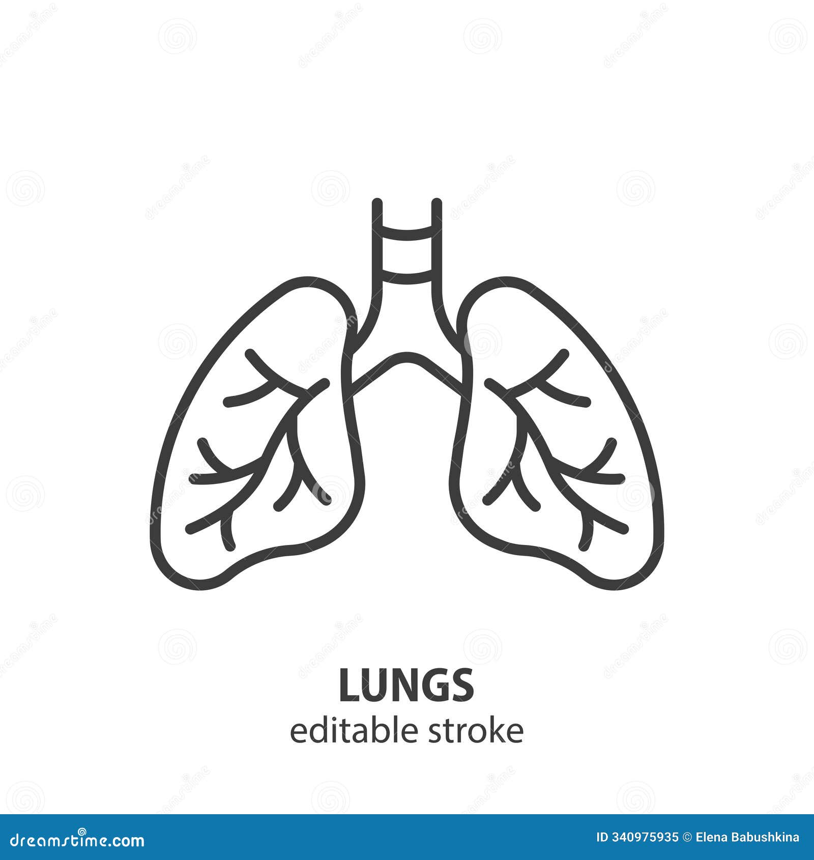 Lungs Line Icon. Internal Human Organ Symbol. Editable Stroke Stock ...