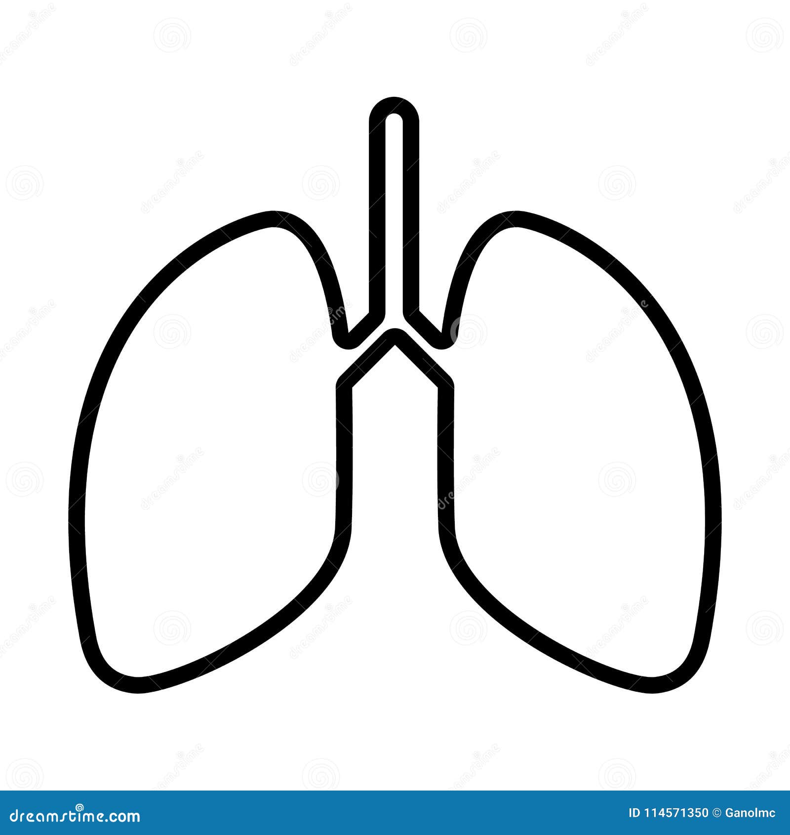 Lungs Line Icon.Vector Simple 96x96 Pictogram Stock Vector ...