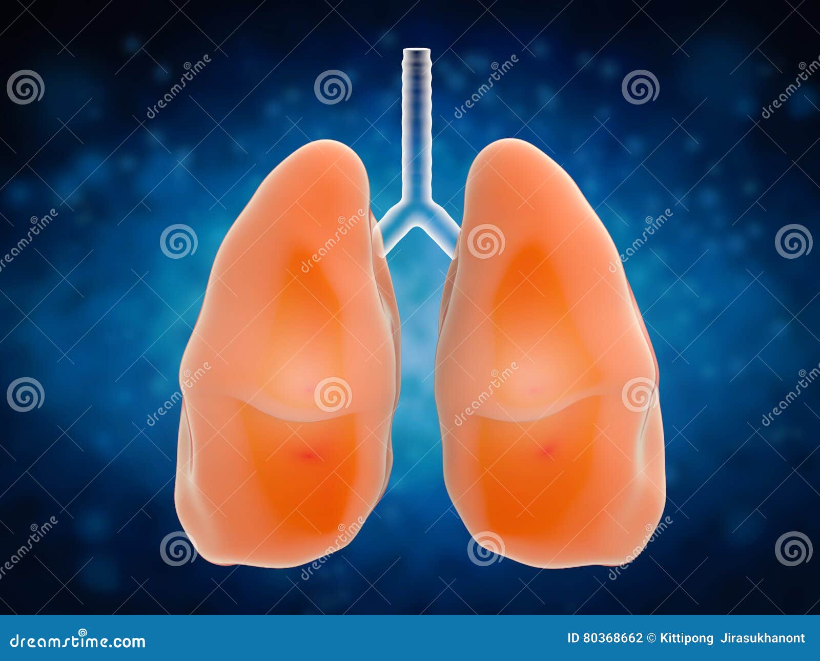 Lungs in pain stock photo. Image of anatomical, bronchiole - 80368662