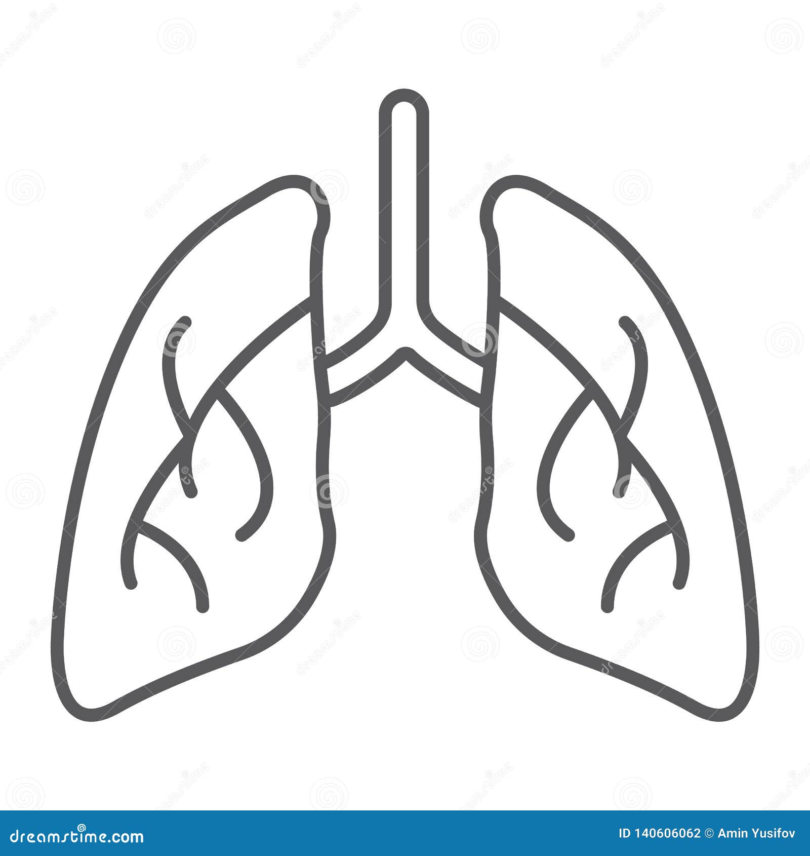 Lungs Thin Line Icon. Human Internal Organ Outline Style Pictogram On ...