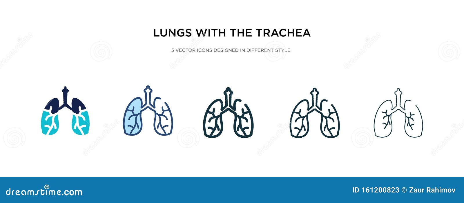 Lungs with the Trachea Icon in Different Style Vector Illustration. Two ...