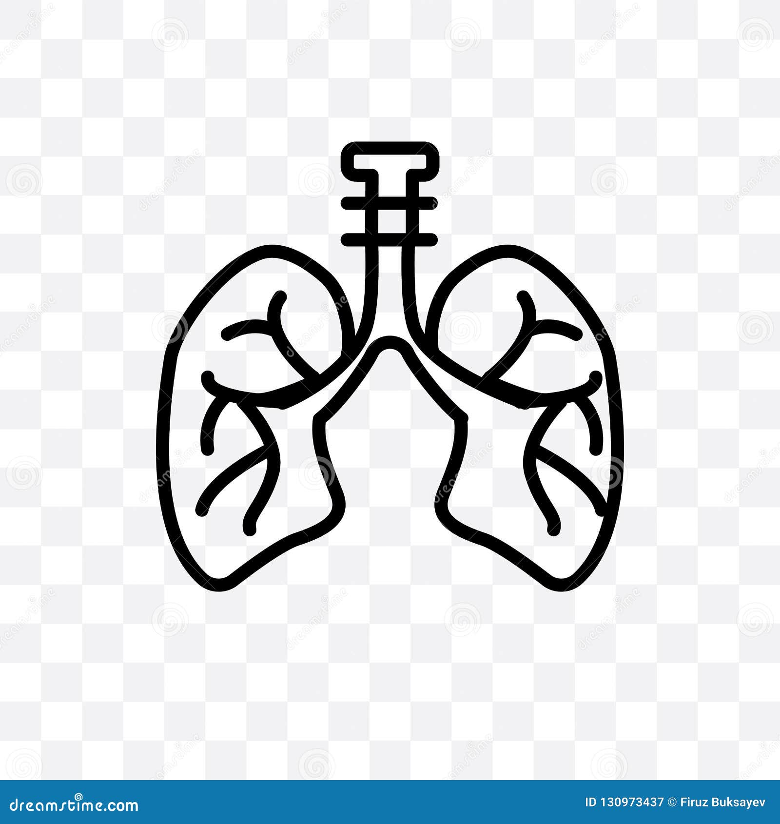 Lungs with the Trachea Vector Linear Icon Isolated on Transparent ...
