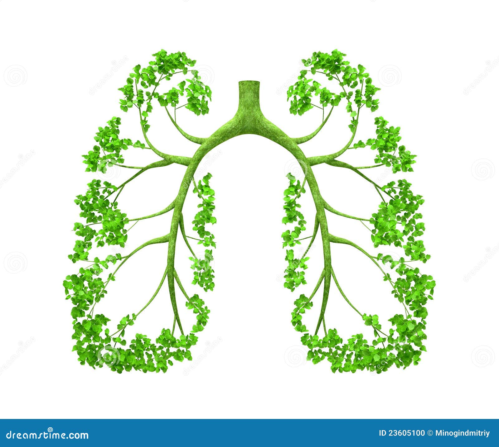 Lungs - tree stock illustration. Illustration of green - 23605100