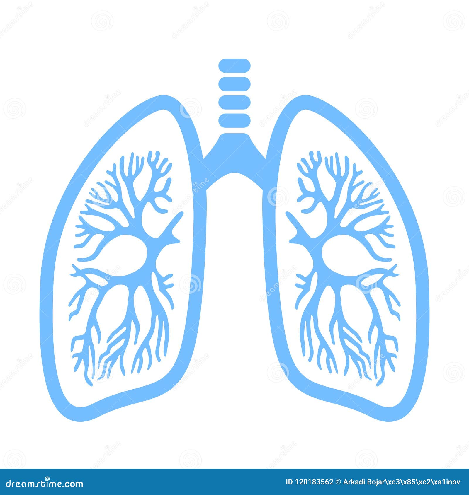 Lungs vector icon stock vector. Illustration of anatomical - 120183562