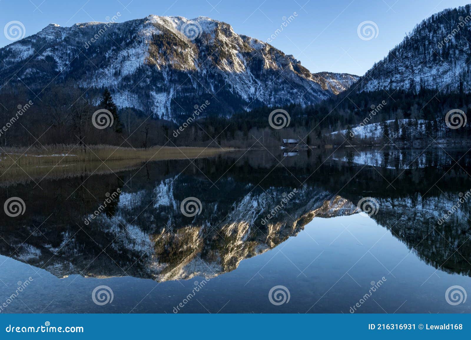 Lunz am See stock image. Image of austria, forest, tree - 216316931