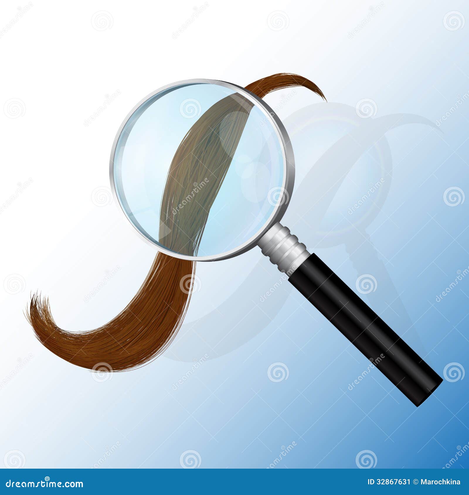 Lupa ilustración del vector. Ilustración de belleza, grande - 32867631