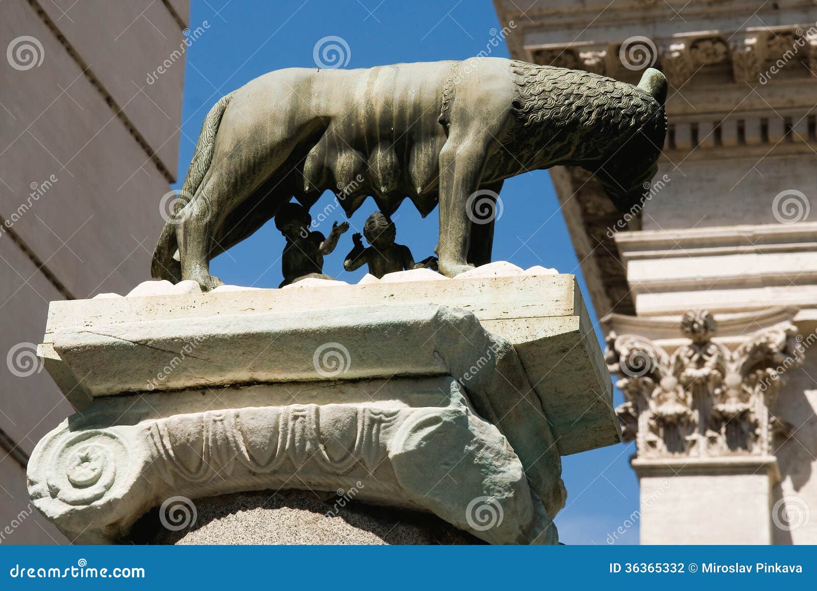 Lupa Con Romolo E Remo, Roma, Italia Fotografia Stock - Immagine di ...