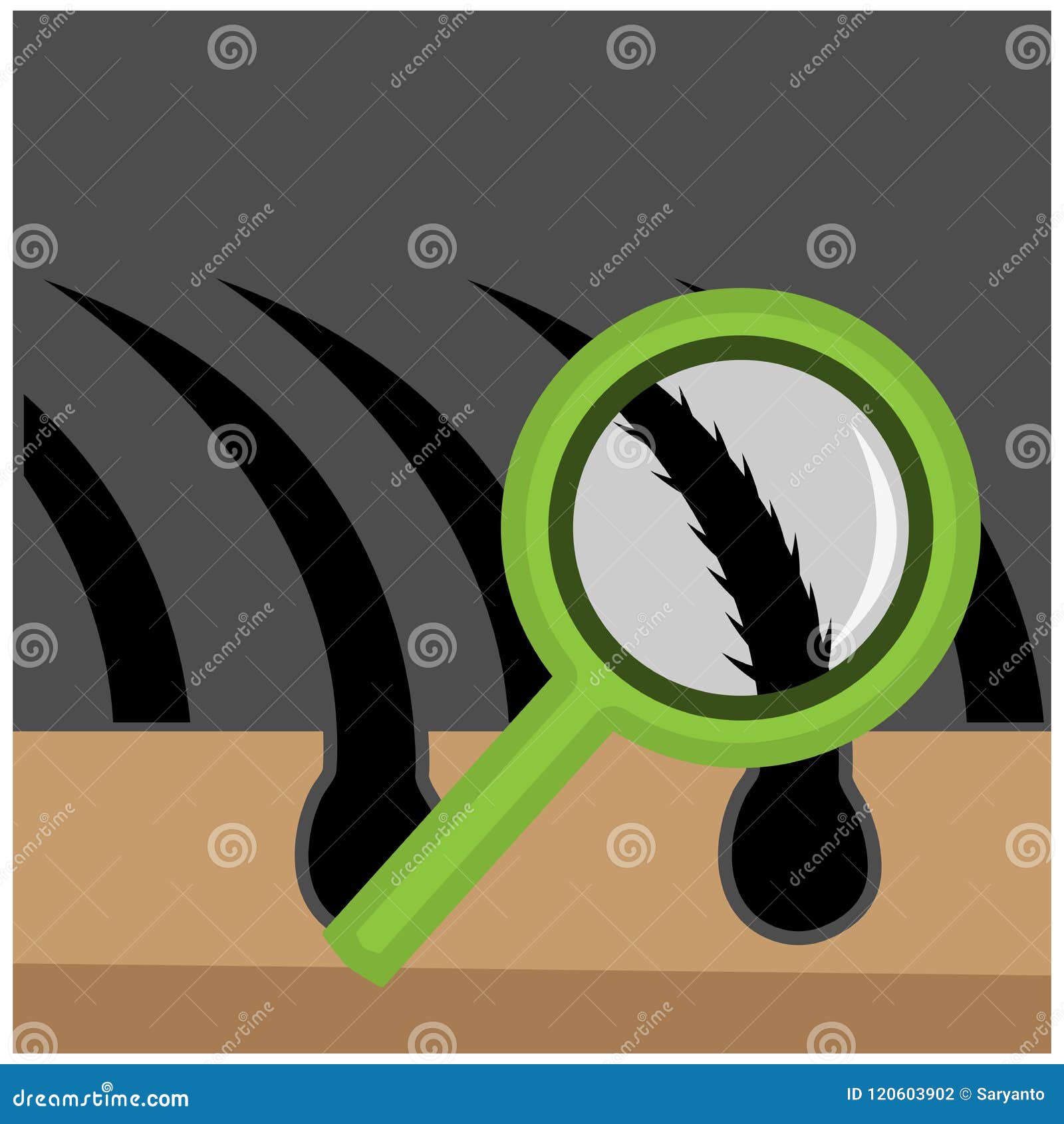 Lupa Y Pelo Ejemplo De Conocer El Pelo Sano Ilustración del Vector ...