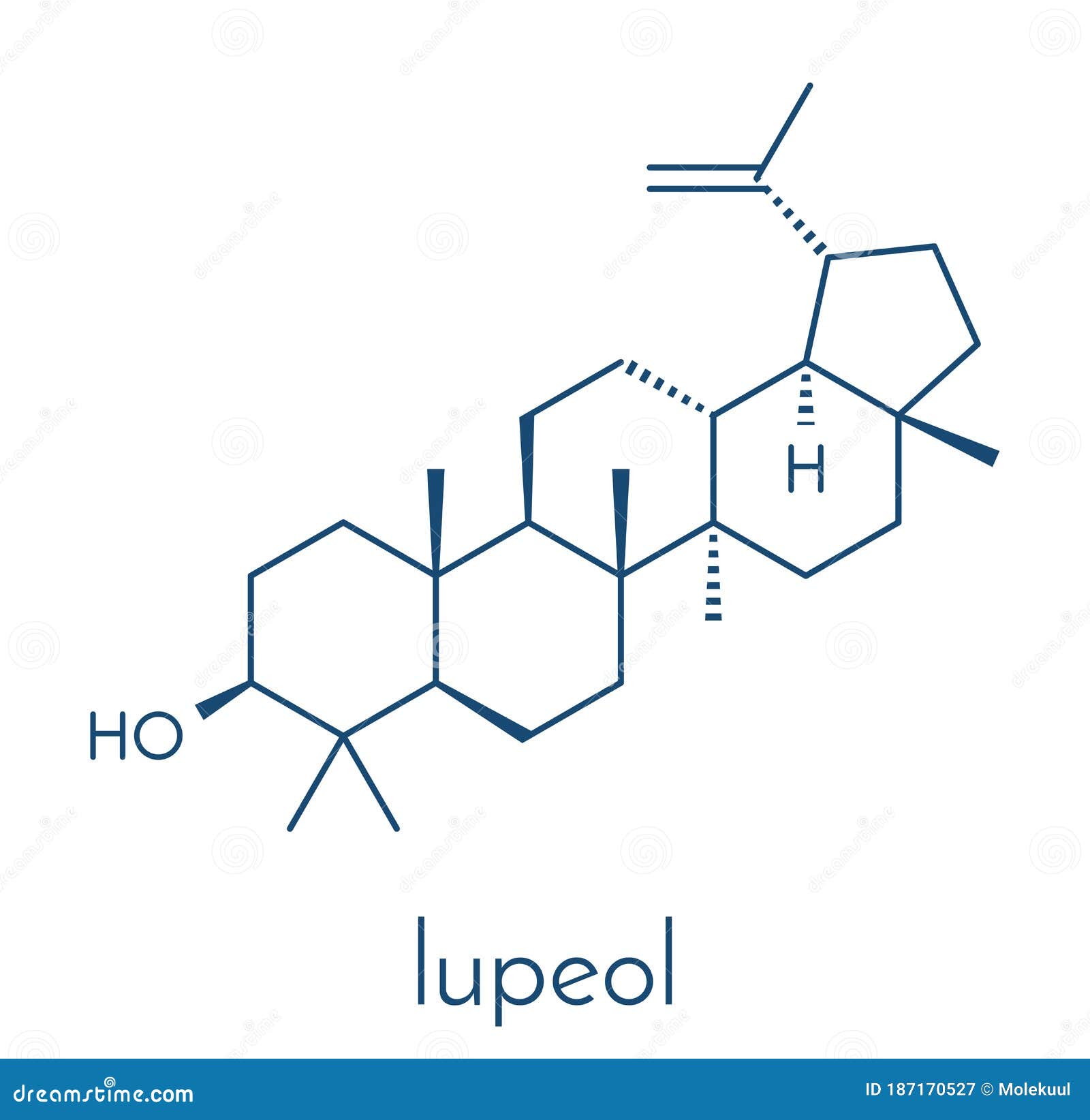 Lupeol Molecule. Skeletal Formula. Stock Vector - Illustration of ...