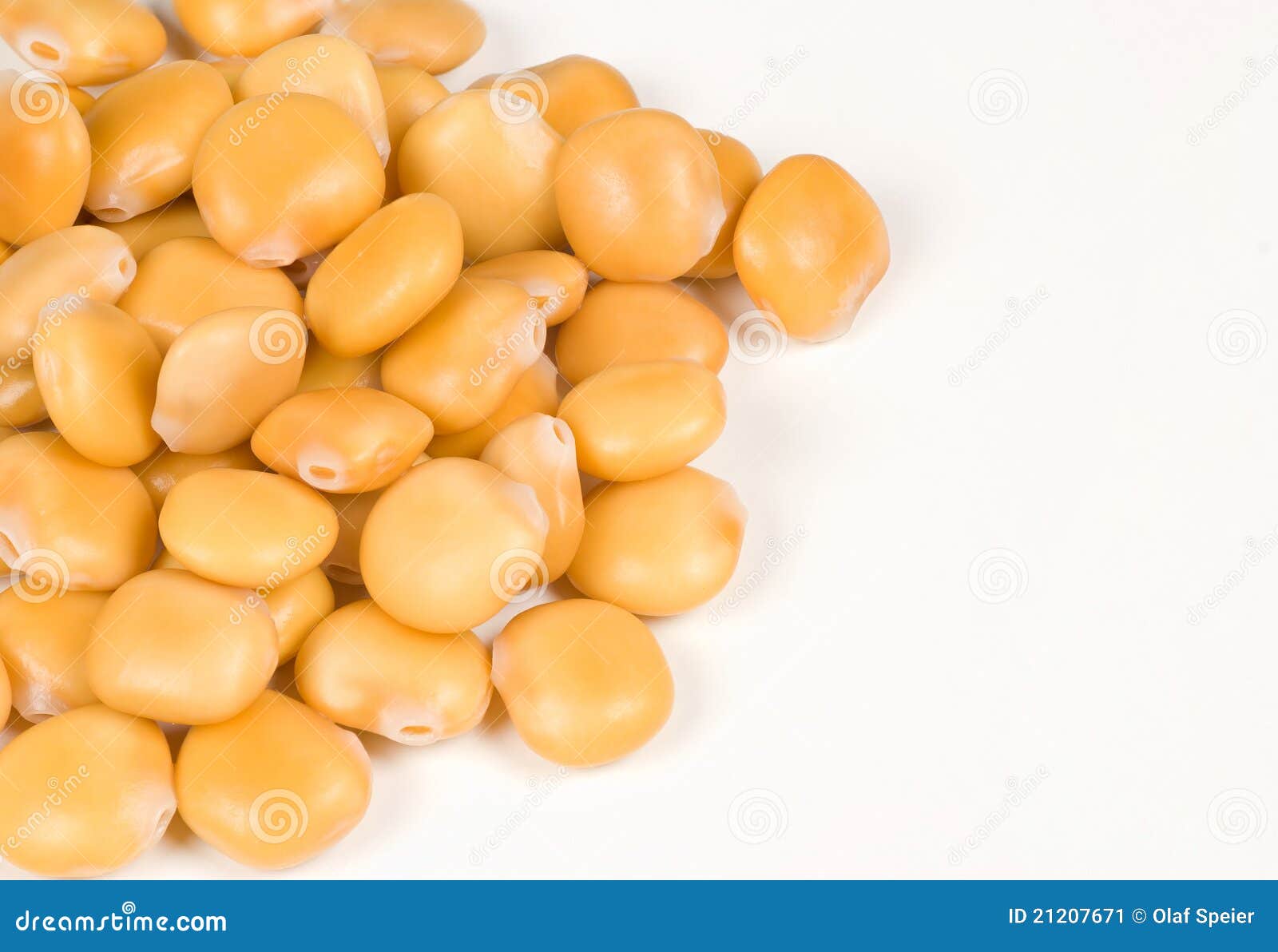 Lupin beans stock image. Image of vegetable, seed, horizontal - 21207671