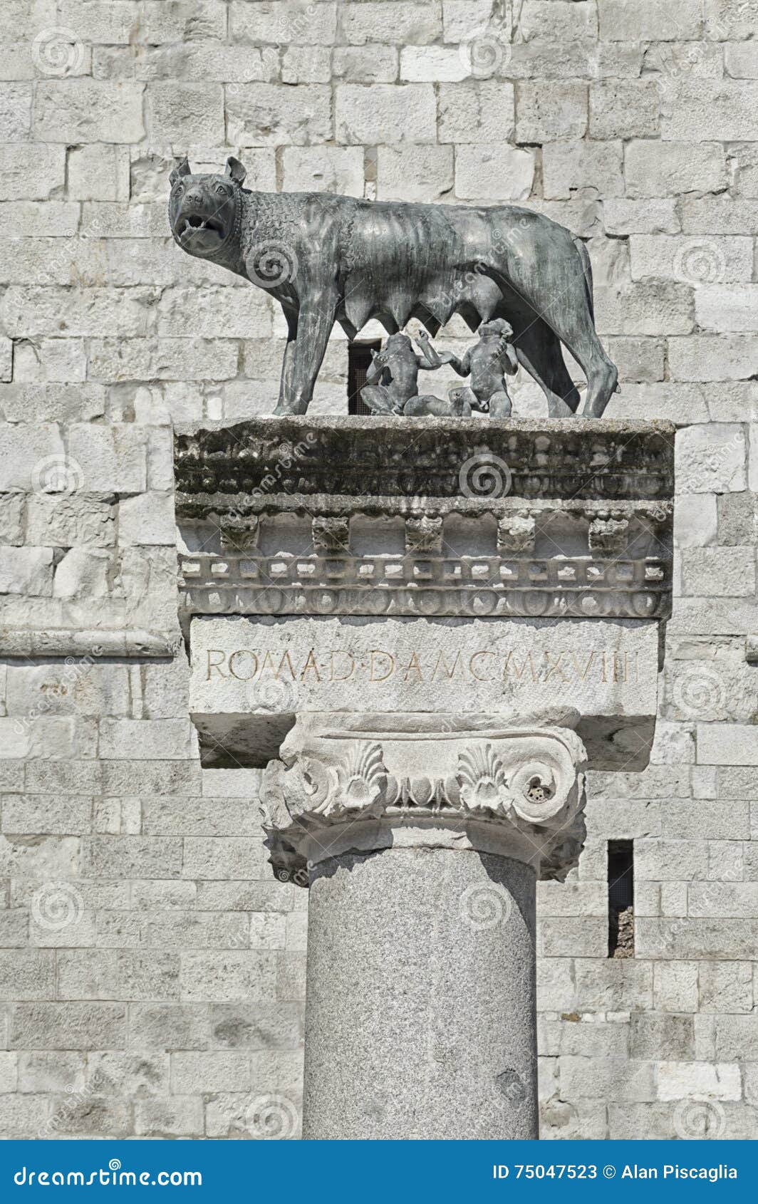 Lupo Di Capitoline Con Il Romolus E Il Remus Immagine Stock - Immagine ...