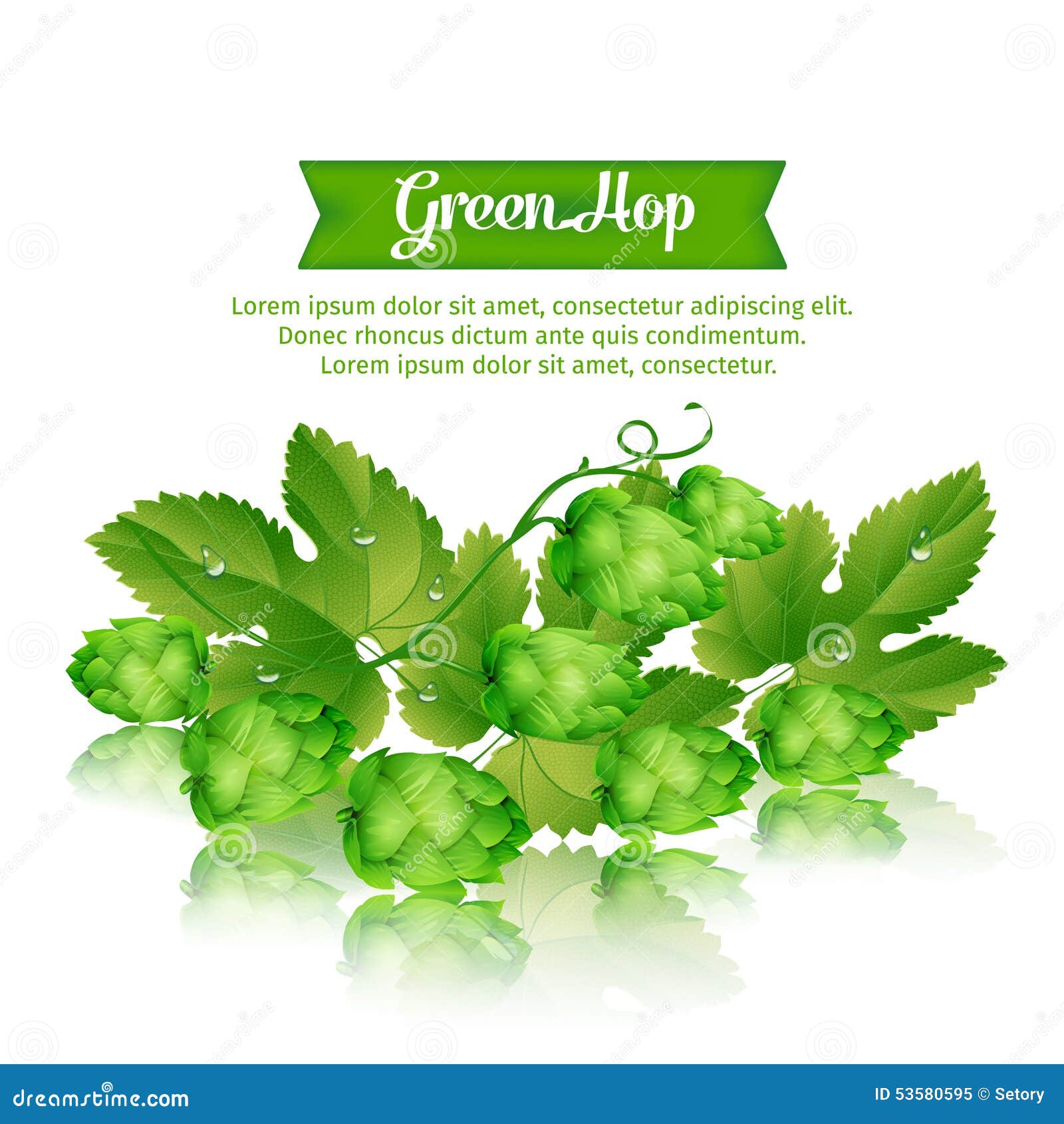 Luppolo verde illustrazione vettoriale. Illustrazione di illustrazione ...