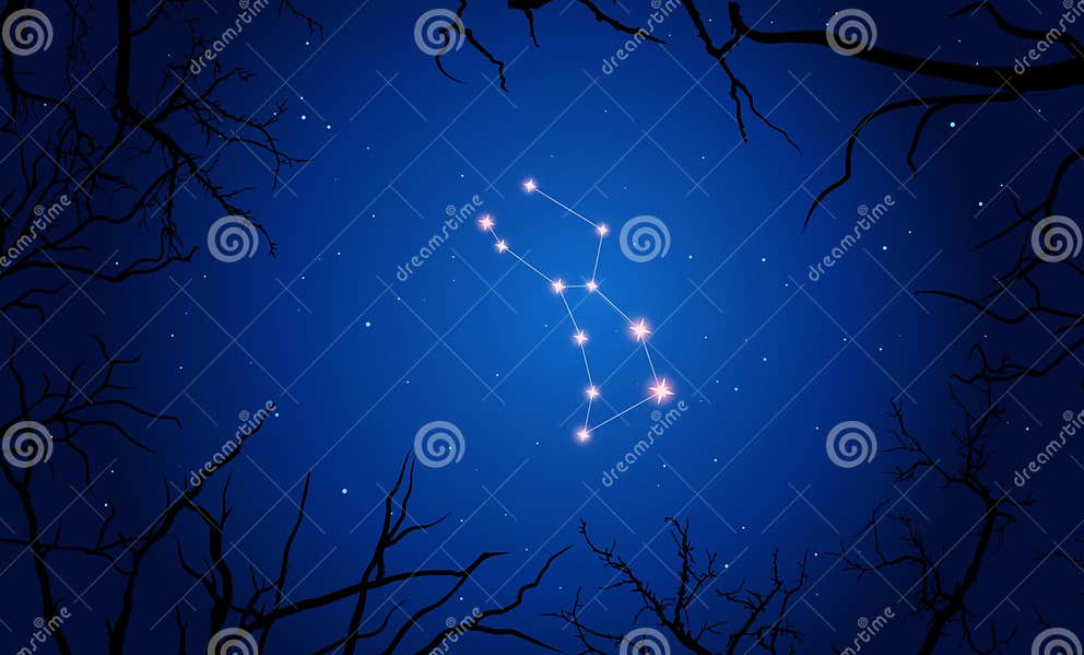 Lupus Constellation. Tree Branches, Starry Sky Stock Vector ...