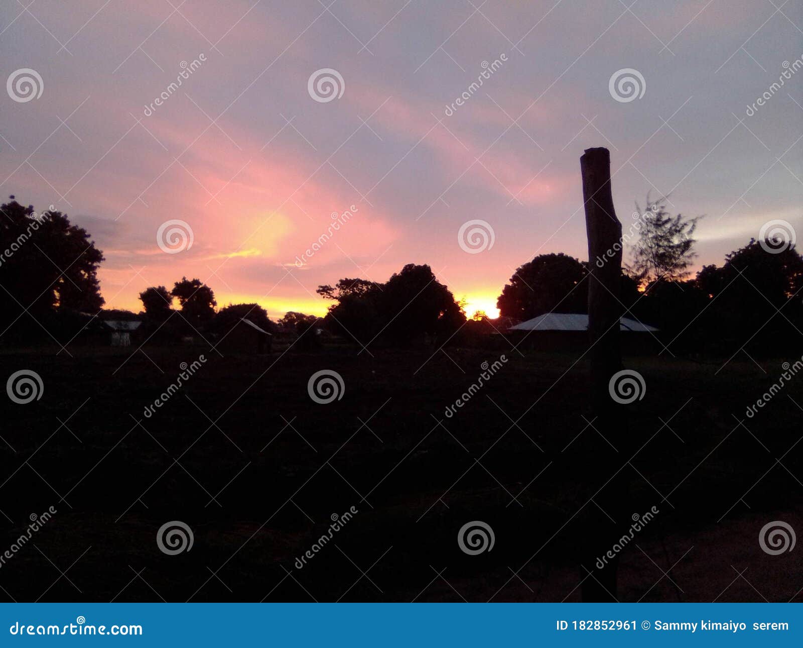 A Lurid Sunset Seen through the Midst of Trees Stock Image - Image of ...