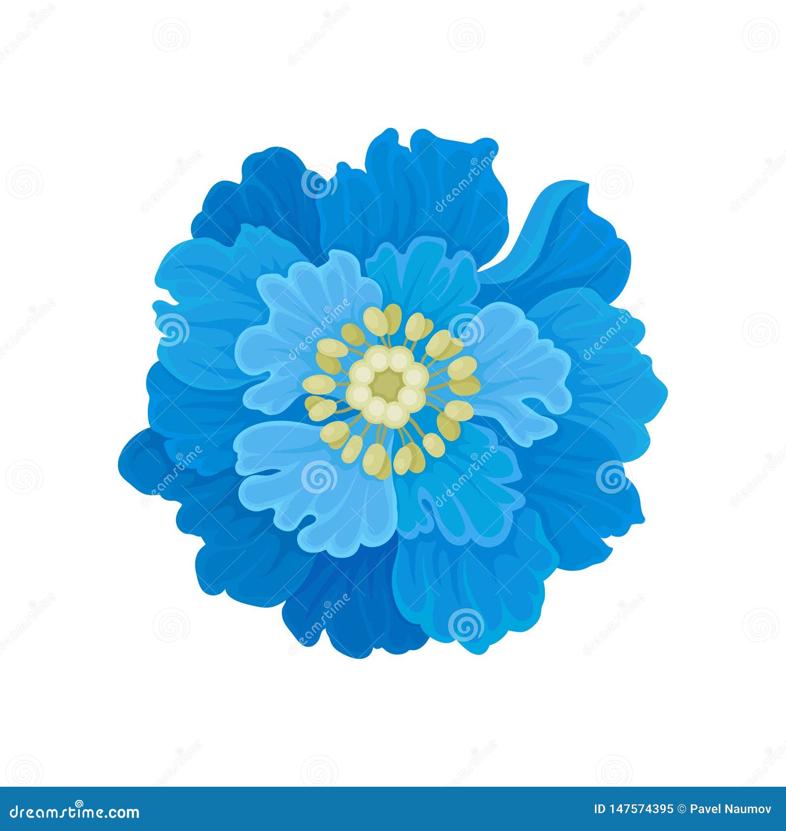 Lush Blooming Blue Flower. Vector Illustration on White Background ...