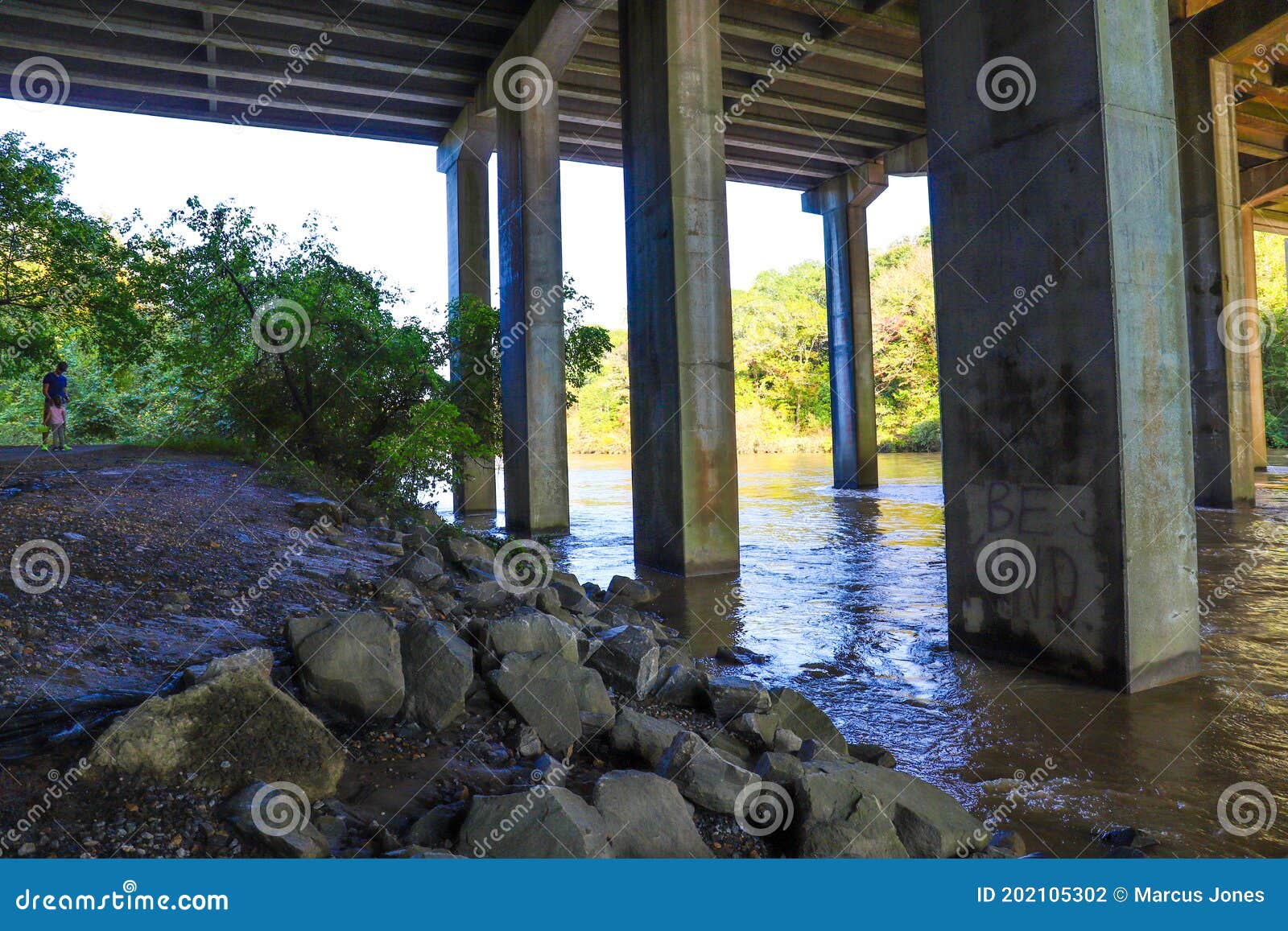 The Lush Brown Waters Flowing Underneath a Freeway Underpass with Tall ...