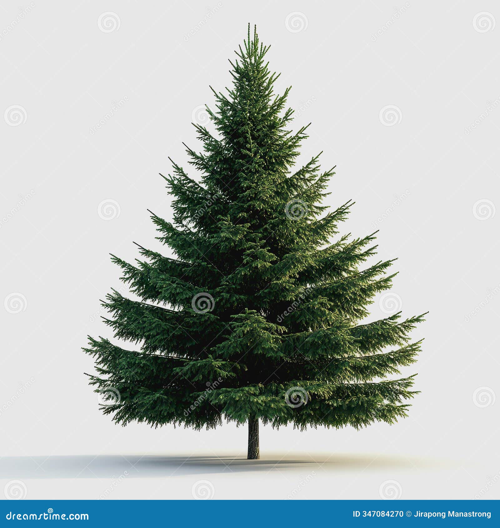Lush Evergreen Tree Isolated on a Plain Background for Nature-themed ...