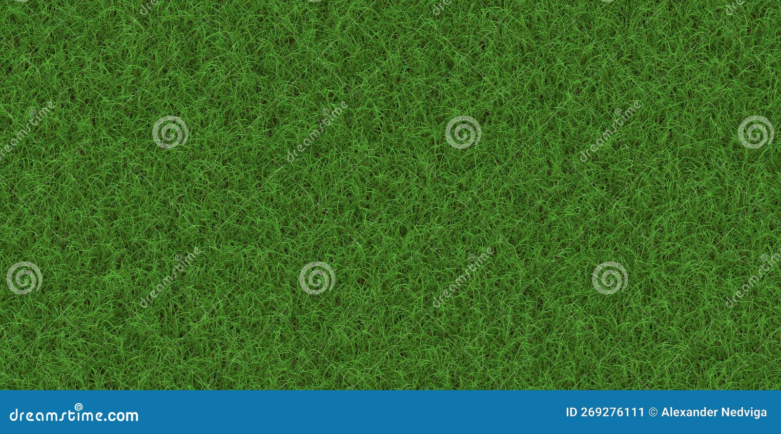 Lush Field Background. Park Lawn Pattern. Textured Meadow Backdrop ...