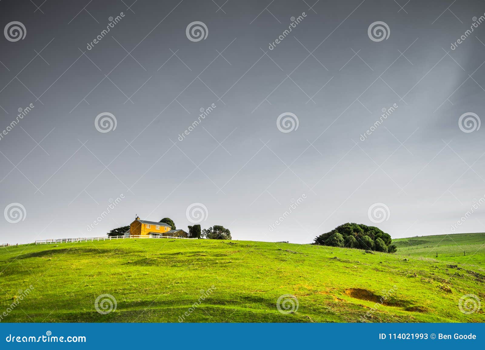 Lush Field stock image. Image of nature, travel, australia - 114021993