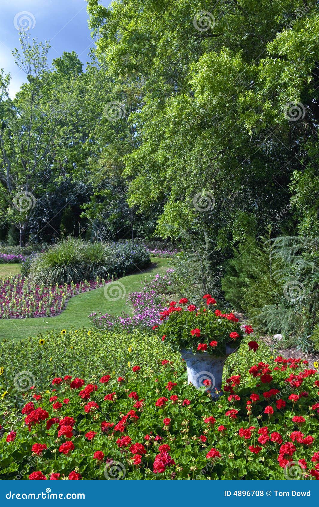 Lush garden stock photo. Image of leaves, grassy, garden - 4896708