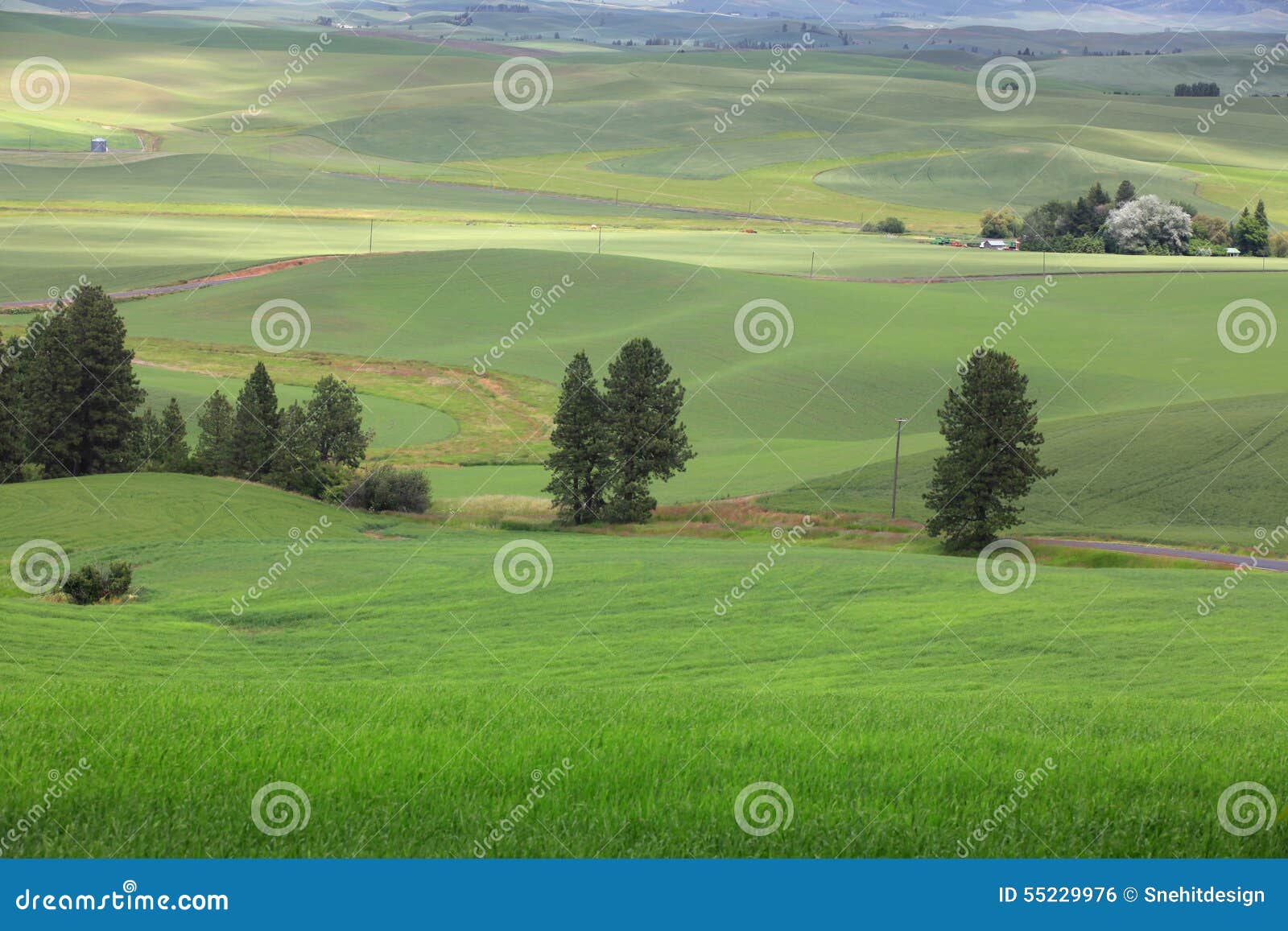 Lush green farm stock photo. Image of community, america - 55229976