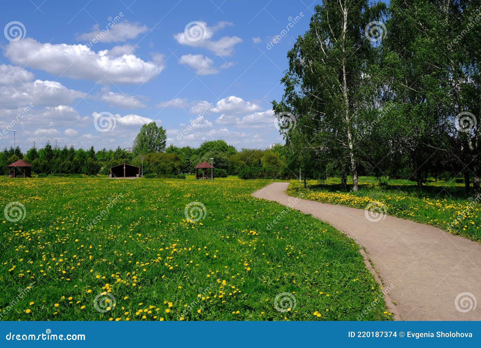 A Lush Green Field, Path in the Park Stock Photo - Image of flowers ...