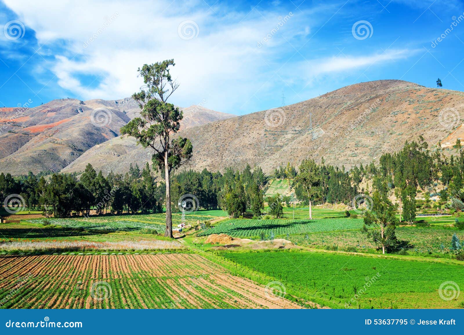 Lush Green Fields in Peru stock image. Image of beautiful - 53637795