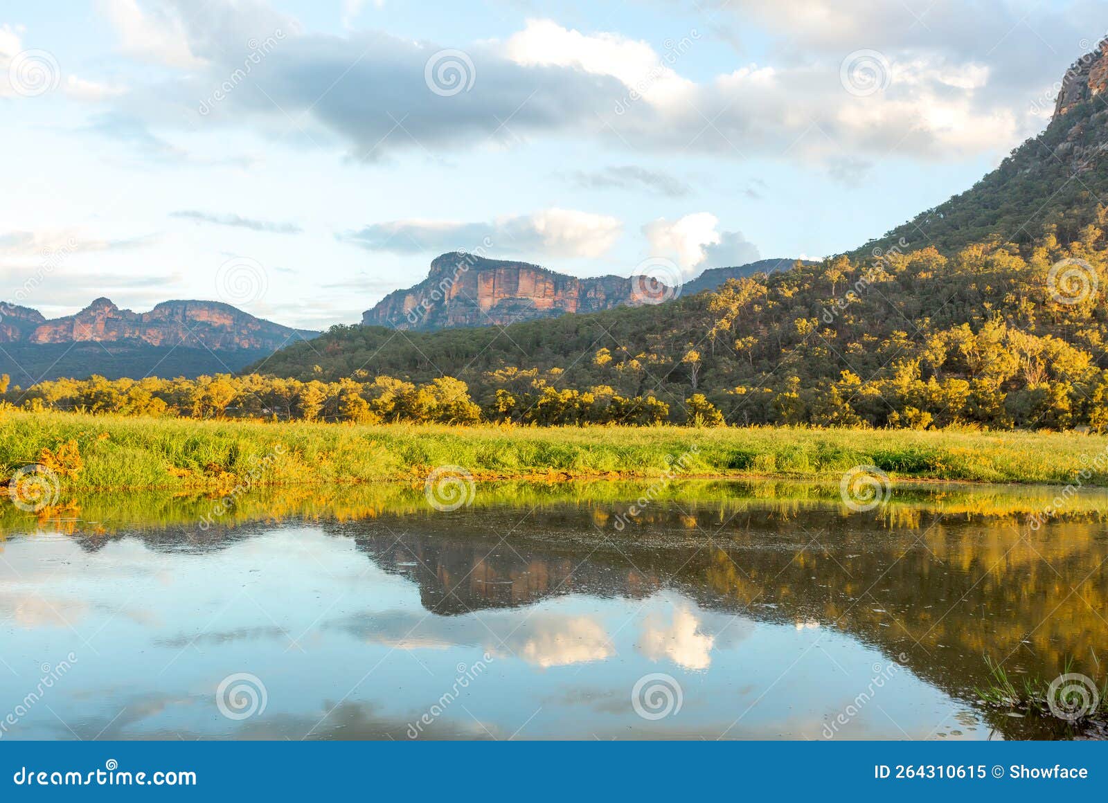 Lush Green Fields after Rain in the Capertee Valley Stock Image - Image ...