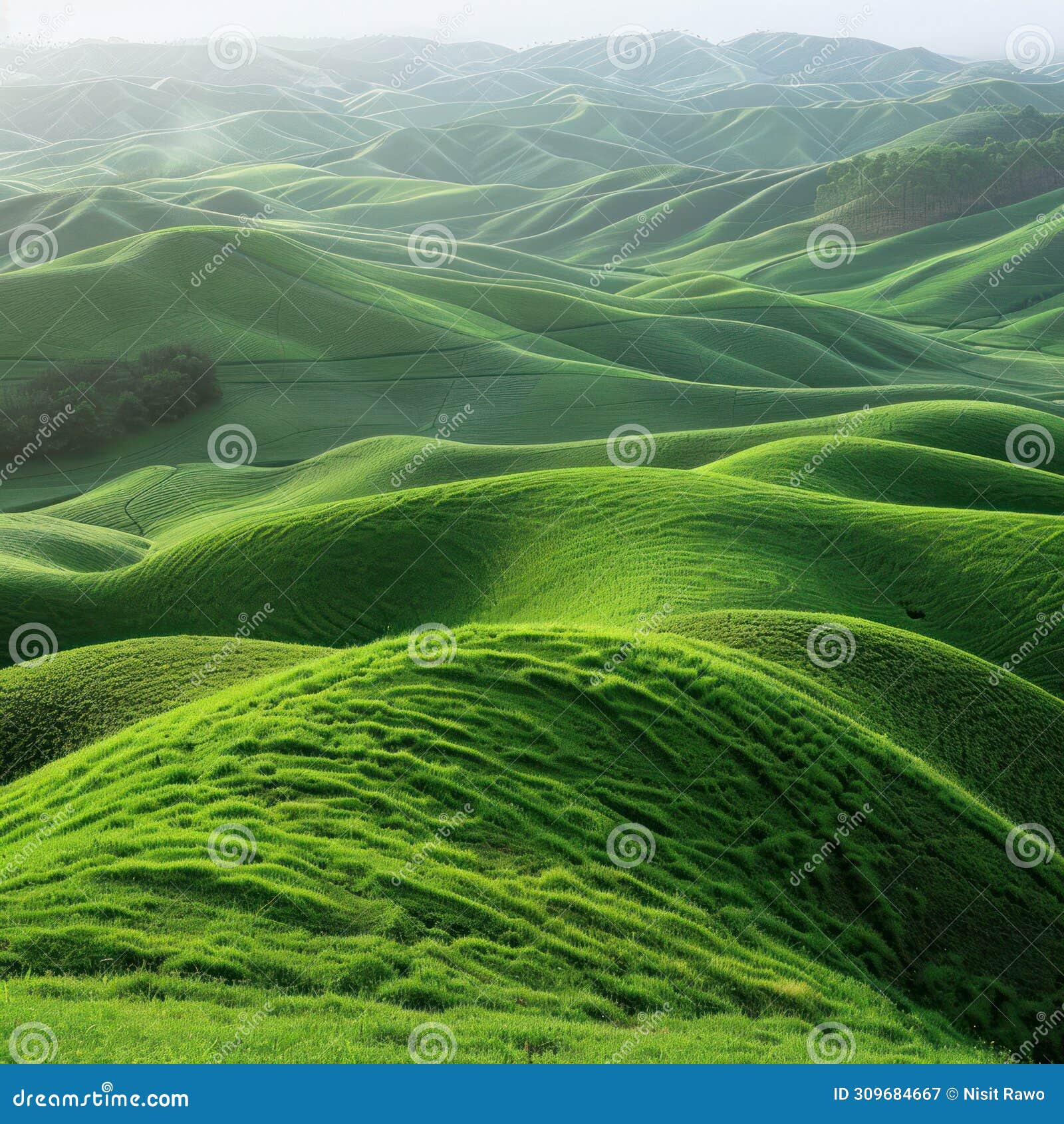 Lush Green Fields Rolling Hills Covered in Grass Stock Image - Image of ...