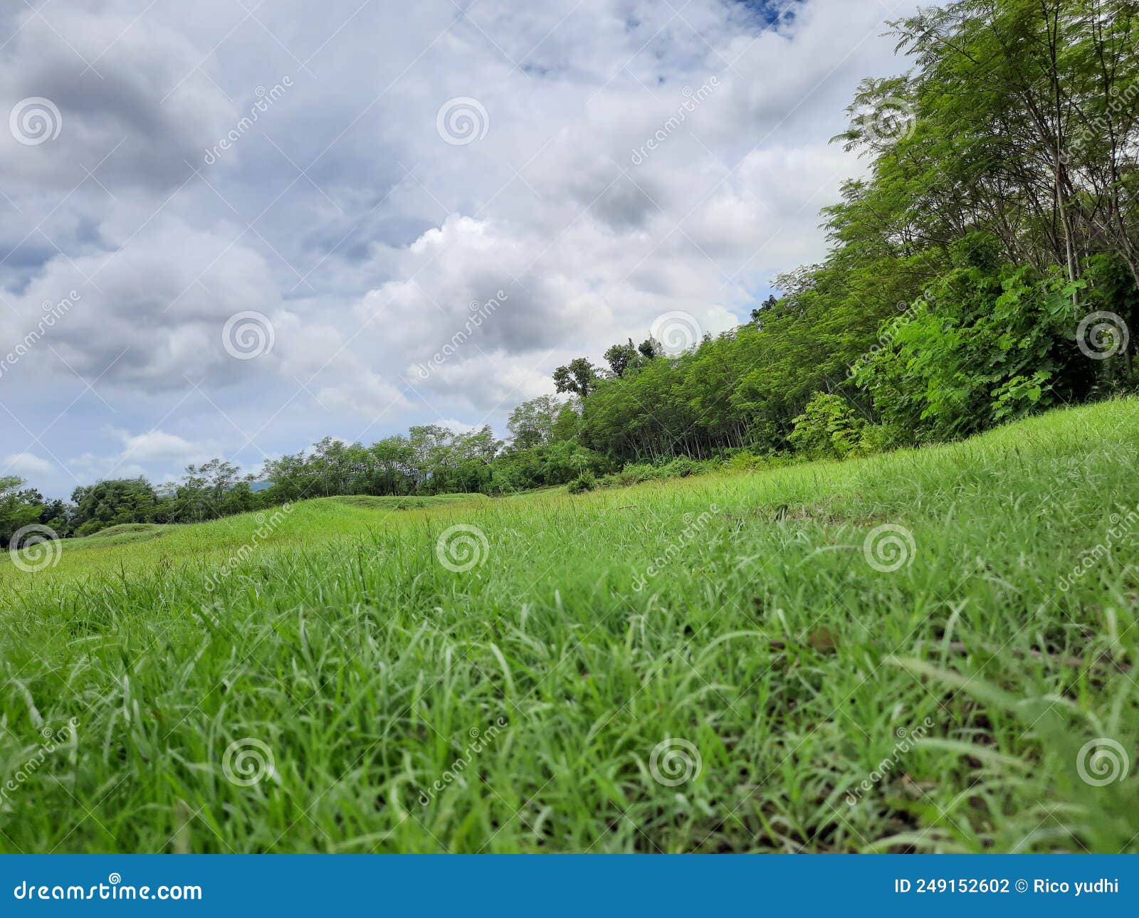 Lush Green Fields and Slightly Overcast Clouds Stock Photo - Image of ...