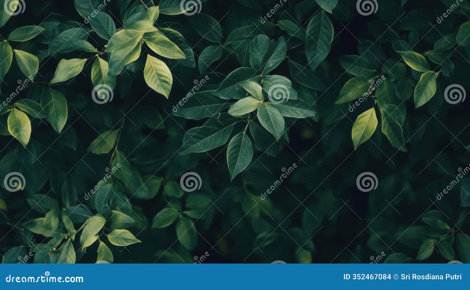 Deep Emerald Green Tropical Foliage, Dense Vibrant , Photo, Visual ...