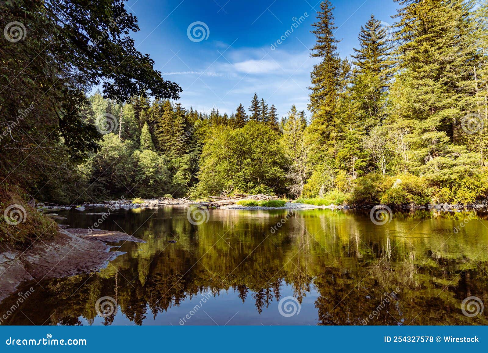 Lush Green Forest Reflected in a Lake Stock Photo - Image of lake, tree ...
