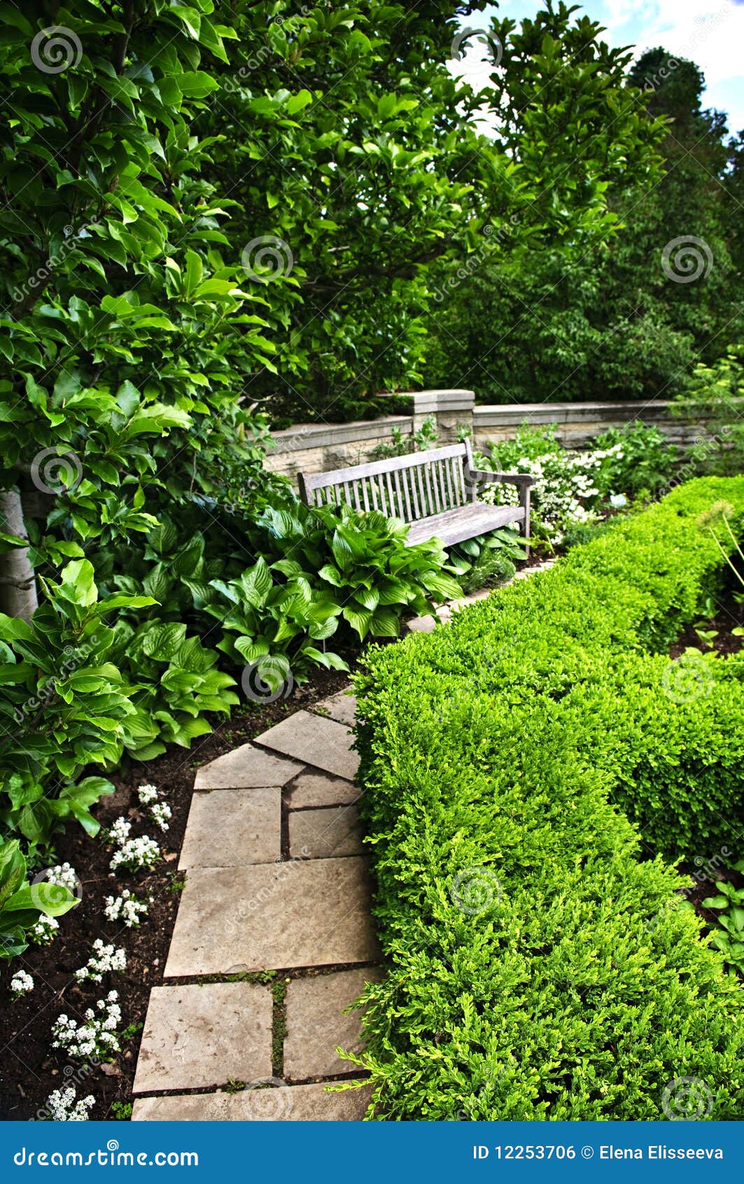 Lush green garden stock photo. Image of relaxation, landscaping - 12253706