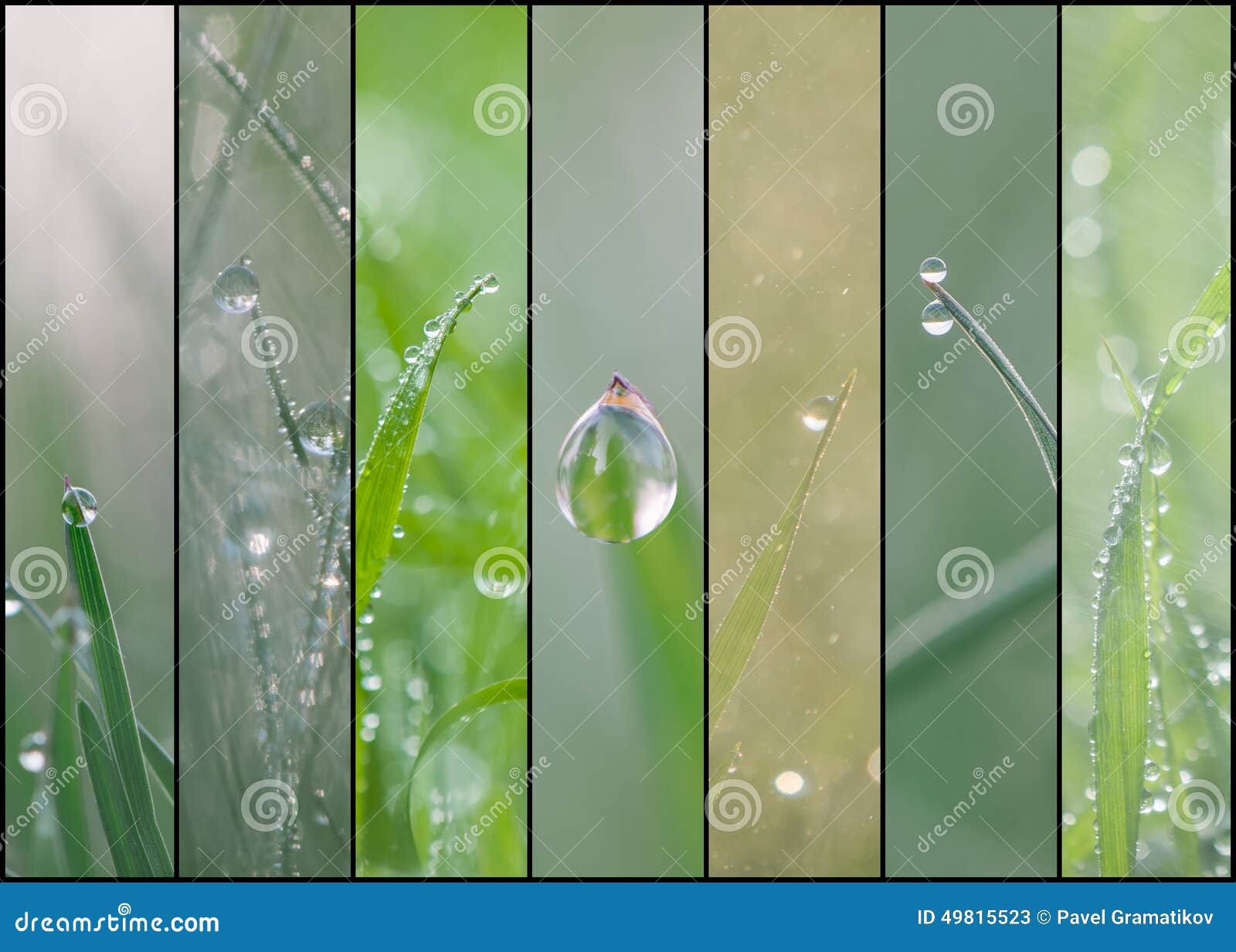Lush green grass collage stock image. Image of beautiful - 49815523