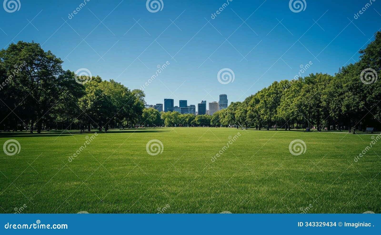 Lush Green Grass Field with Skyline of Modern Buildings Stock ...